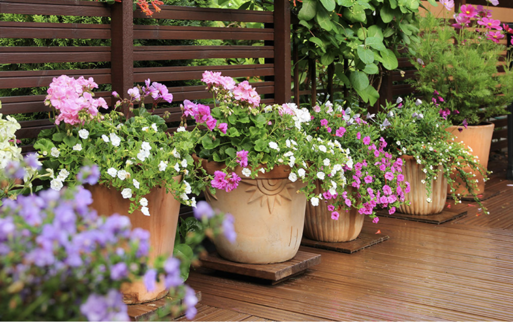 Freeze-Damaged Landscaping: How to Restore Yard - JNS Construction ...