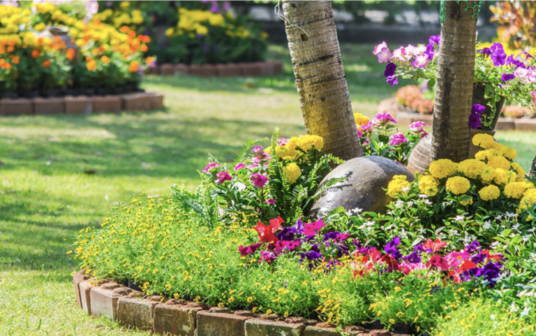 Freeze-Damaged Landscaping: How to Restore Yard - JNS Construction ...